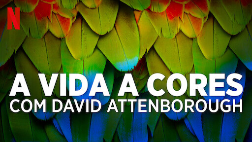 A Vida a Cores :: Portefólio de Psicologia B